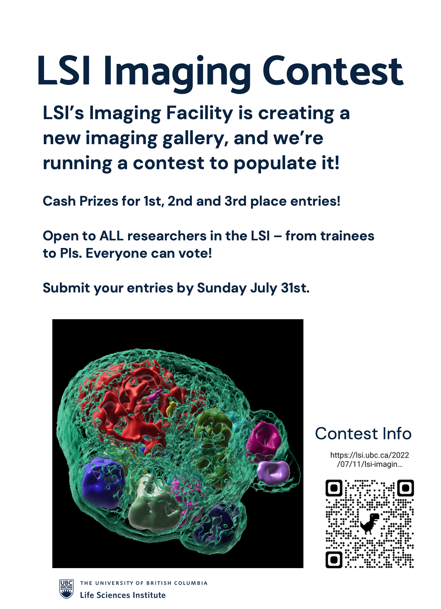 LSI Imaging Contest! | Cash Prizes for the top three entries submit by ...